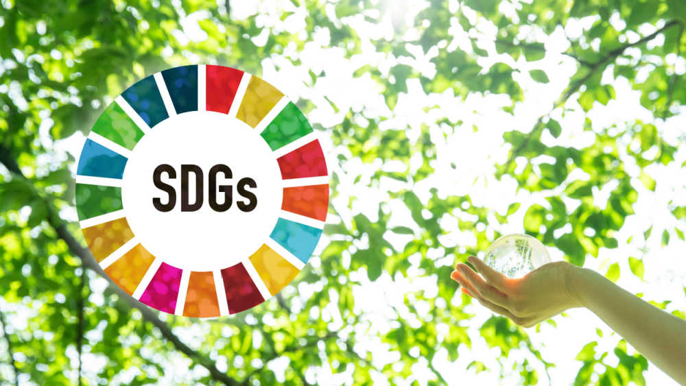 What are the sustainable development goals (SDGs) and what is the role of philanthropy in taking ...